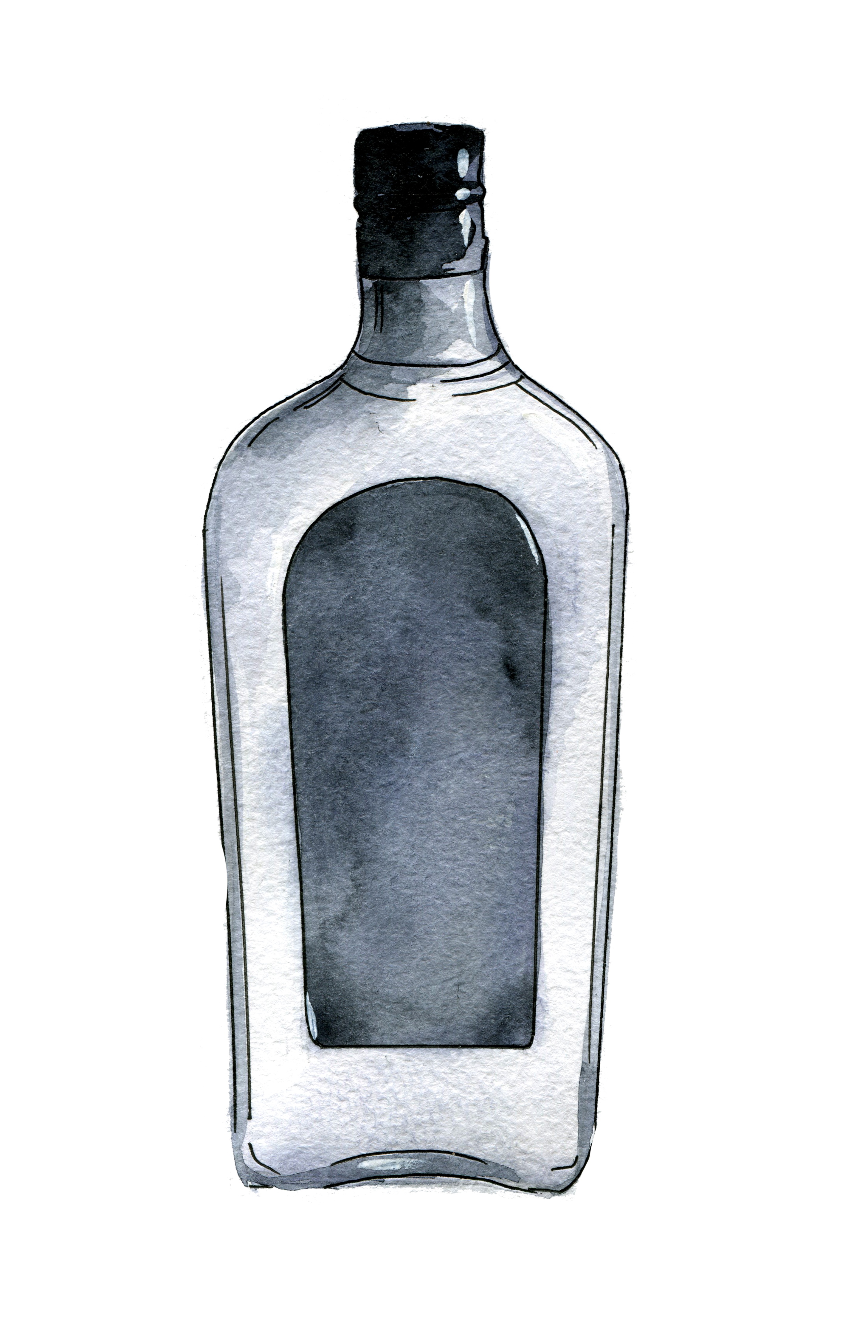 Noah Stetzer – The Night Heron Barks